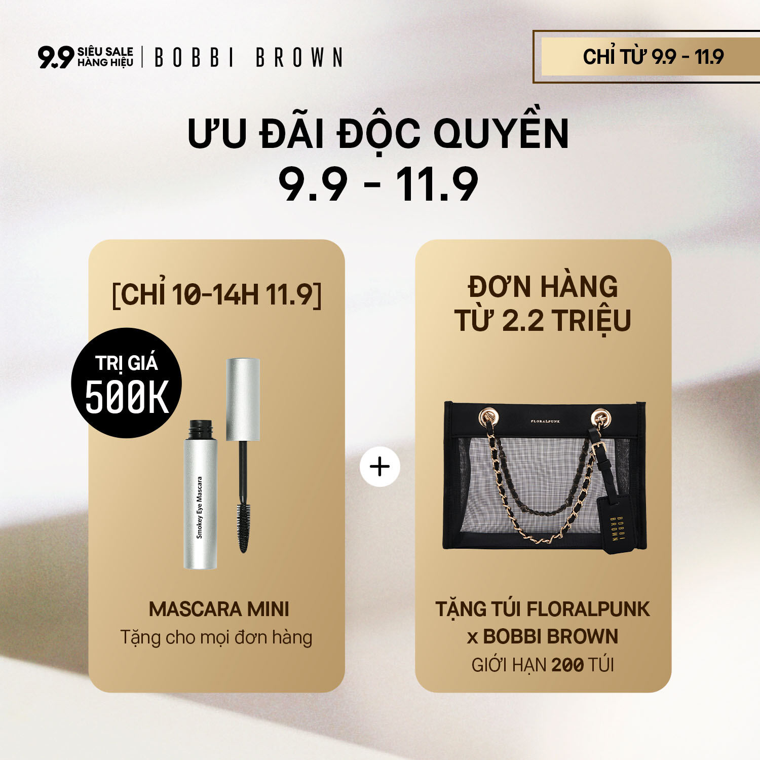 ĐỘC QUYỀN 9-11.9 VOUCHER ĐẾN 300K Phấn phủ bột có màu Luxe Radiance ...