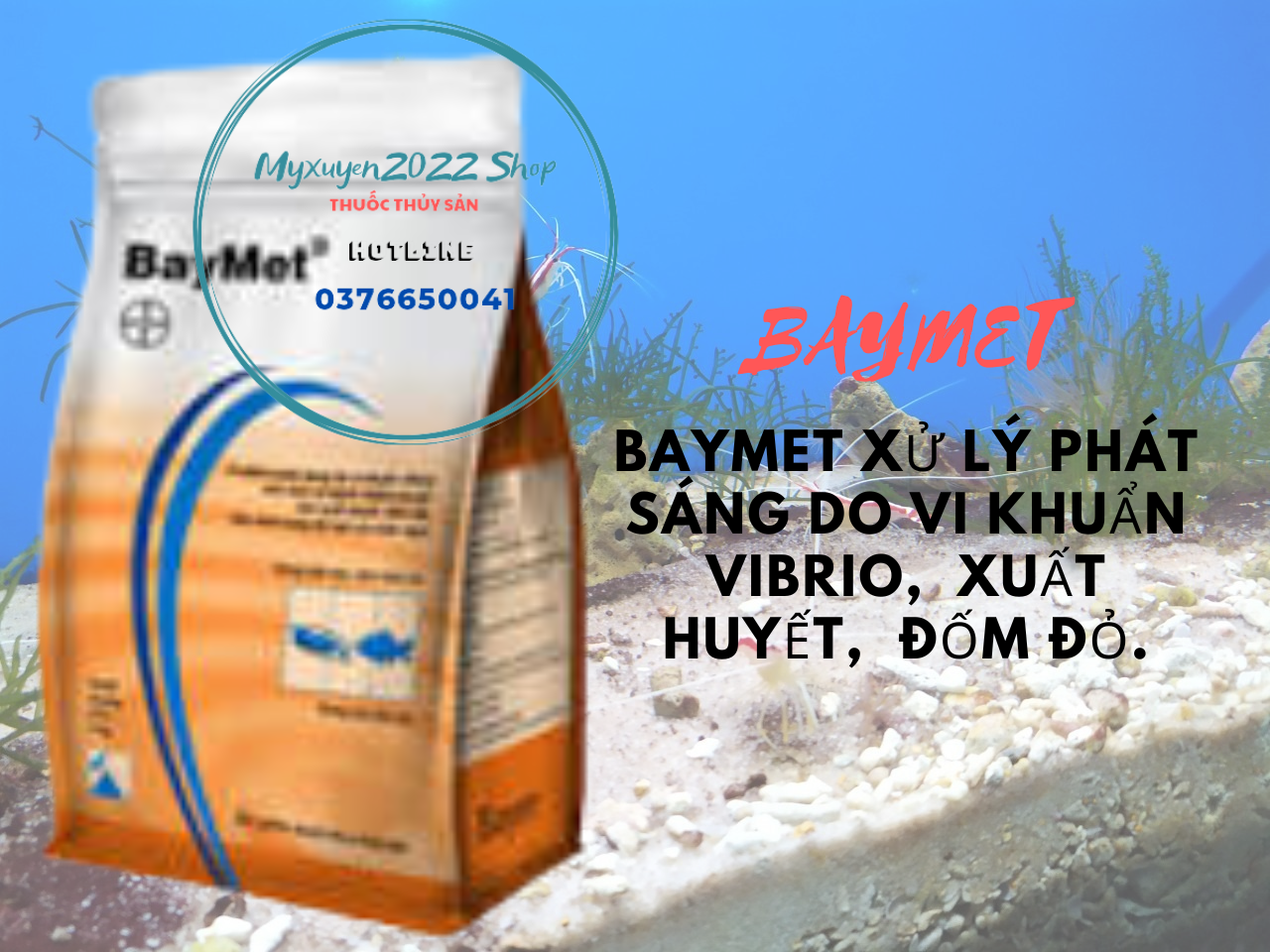 BayMet xử lý phát sáng do vi khuẩn vibrio, xuất huyết, đốm đỏ. | Lazada.vn