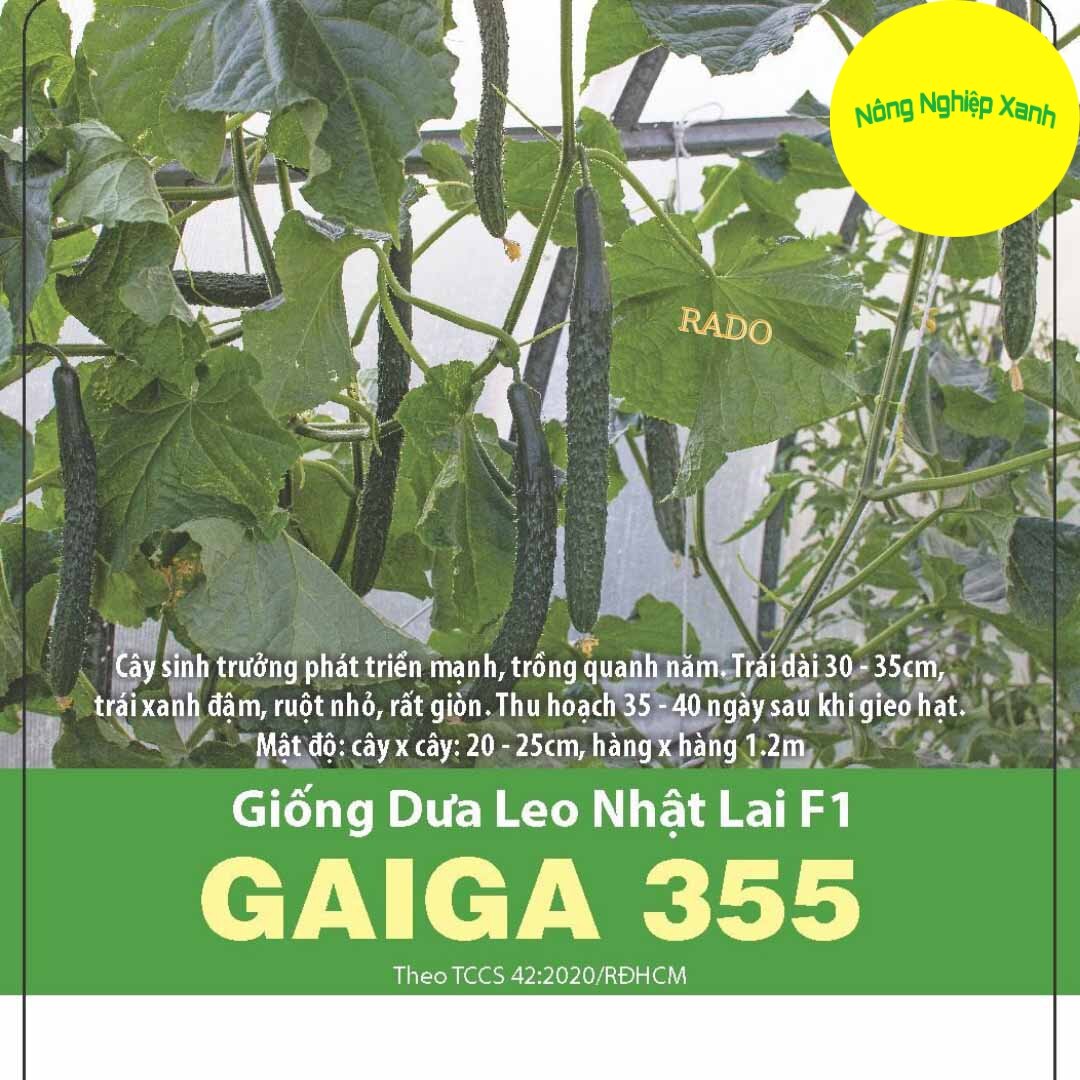Hạt giống Dưa Leo Nhật Trái Dài Lai F1 (1gr) Dễ Trồng, Giòn Ngọt,Sai Trái | Lazada.vn