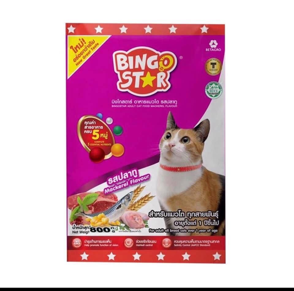 Thức ăn hạt cho mèo Bingostar Cat 1kg | Lazada.vn