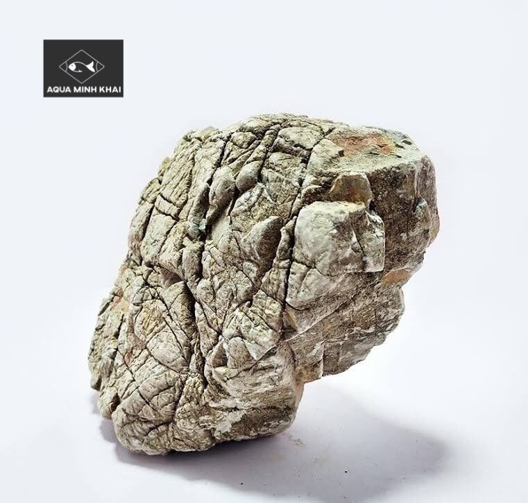 Lũa Trang Trí Bể Cá - Bể Thủy Sinh - Lũa Rừng Tự Nhiên Lũa Chuyên Setup ...