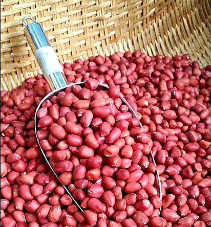 Lạc đỏ Nghệ An hạt ngon, thơm (hàng mới) - 1kg | Lazada.vn