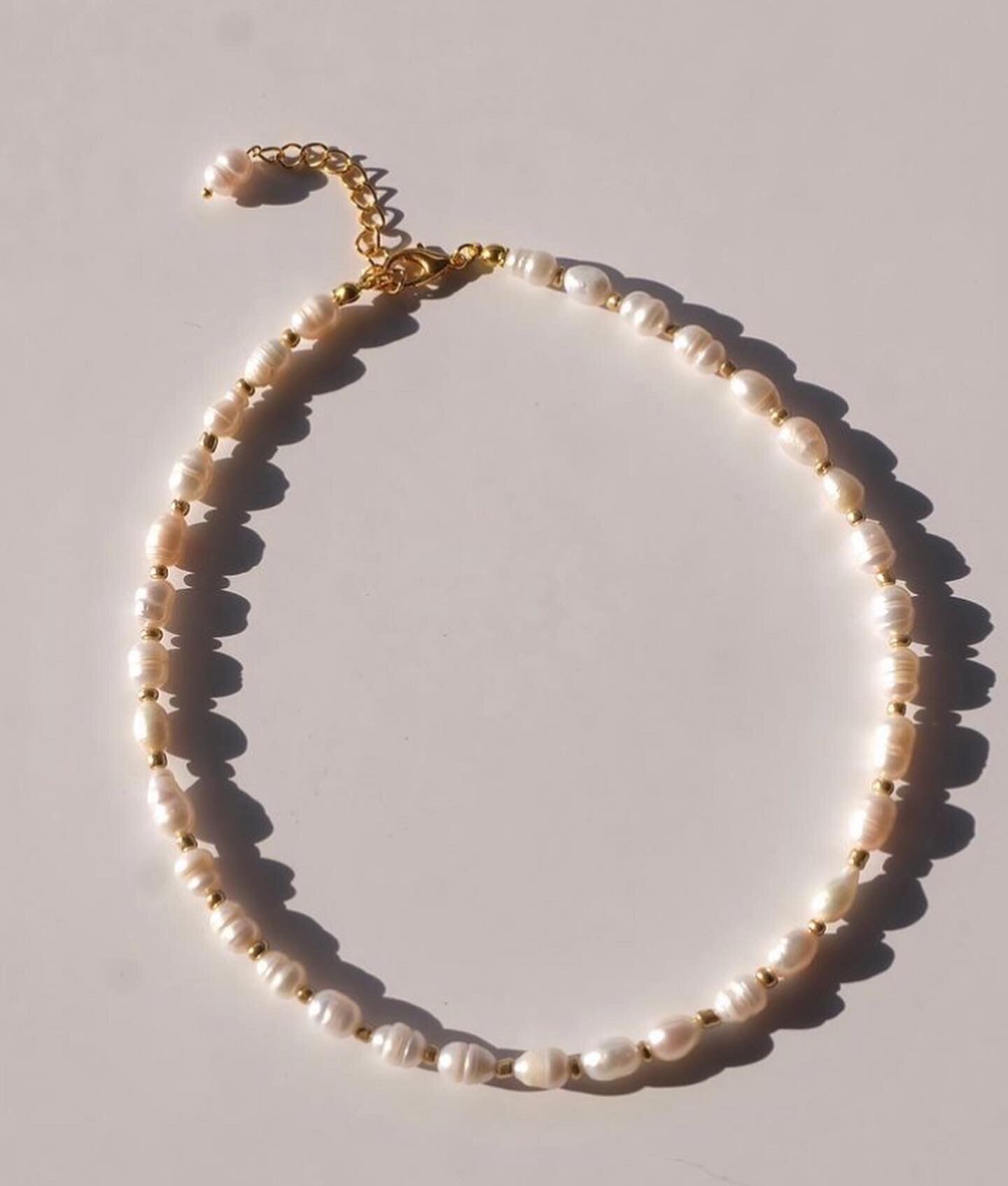 Madamn giá rẻ Tháng 1,2024|BigGo Việt Nam