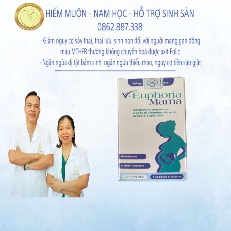 V-euphoria giá rẻ Tháng 9,2023|BigGo Việt Nam