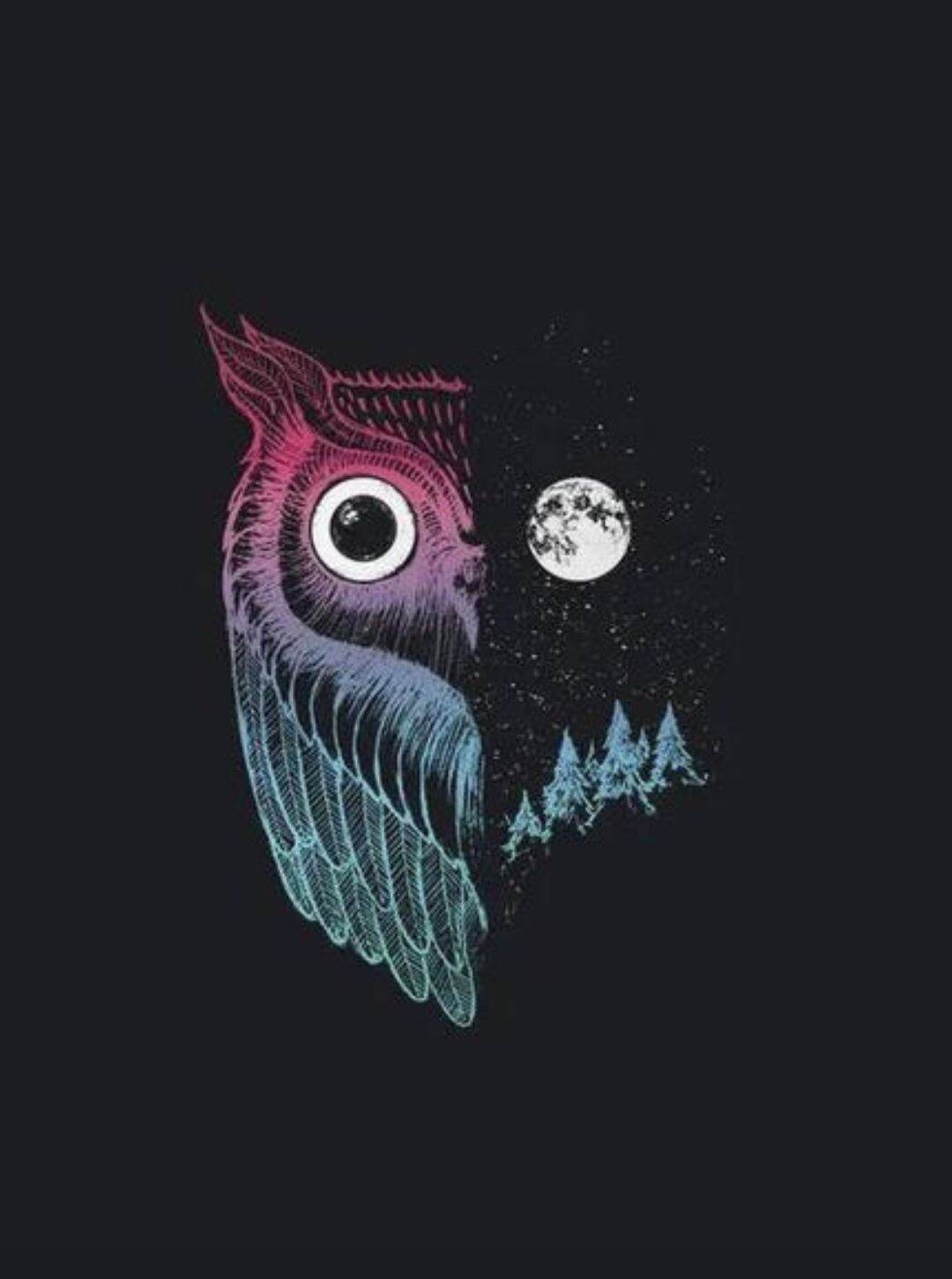 Night Owl - Shop Bán Hàng Chính Hãng Giá Tốt | Lazada.vn