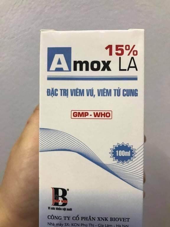 Amox giá tốt Tháng 11,2022|BigGo Việt Nam