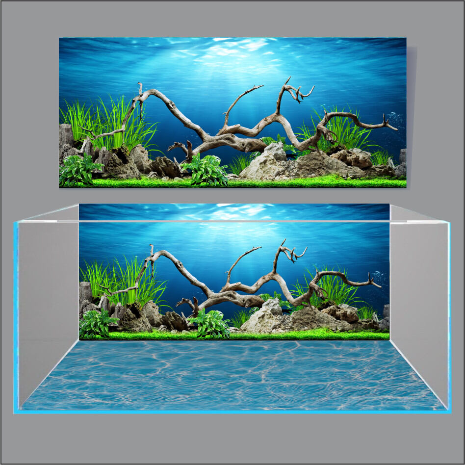 tranh 3d dán hồ cá DECAL VIP- IN THEO KÍCH THƯỚC HỒ ( tranh lưng ...