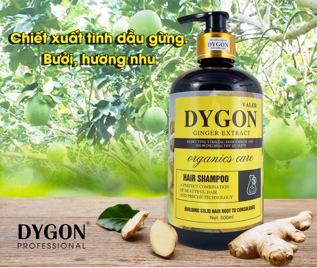 Dygon giá rẻ Tháng 4,2024|BigGo Việt Nam