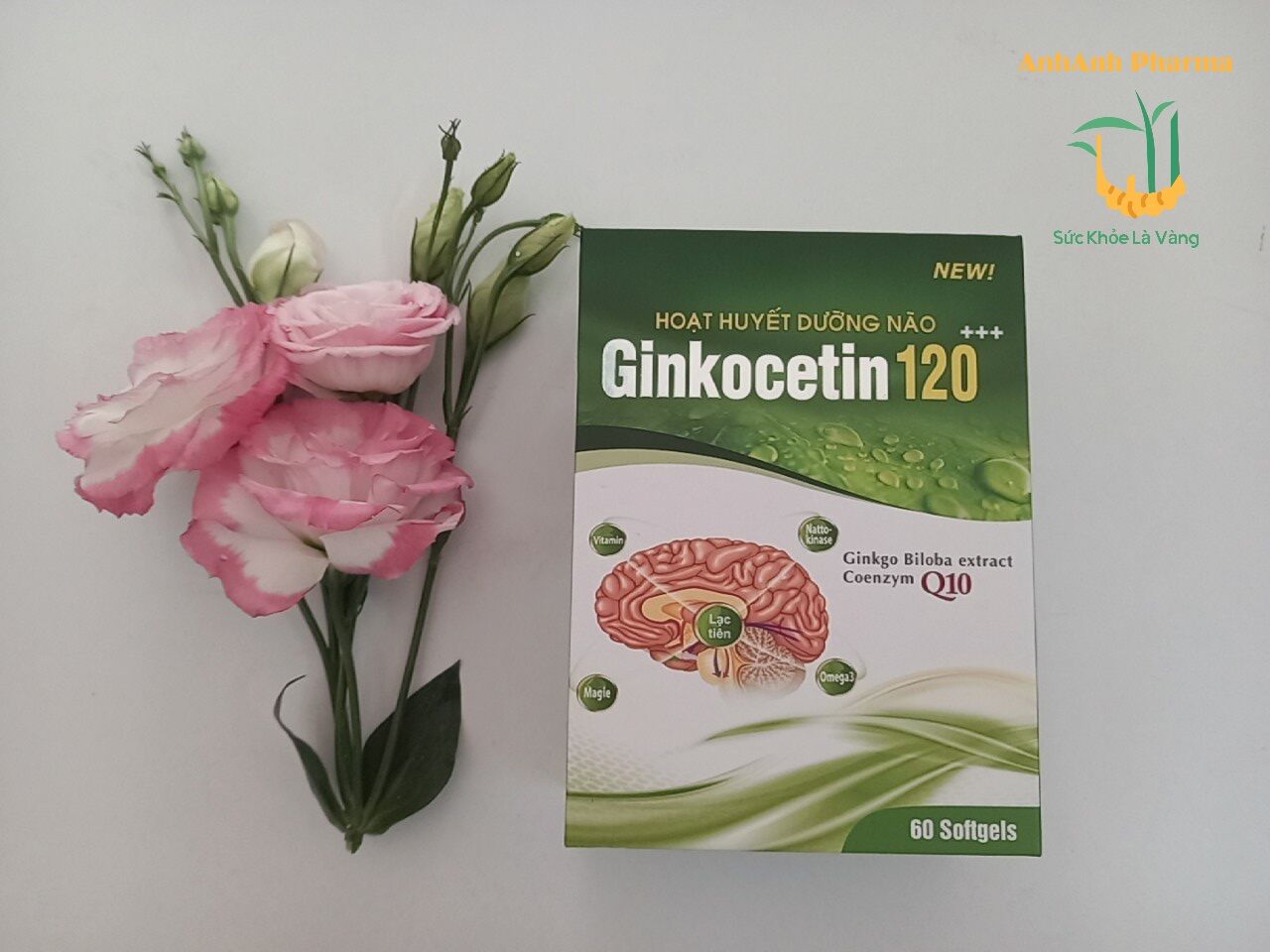 Hoạt Huyết Dưỡng Não Ginkocetin 120-Tăng cường tuần hoàn,lưu thông máu ...