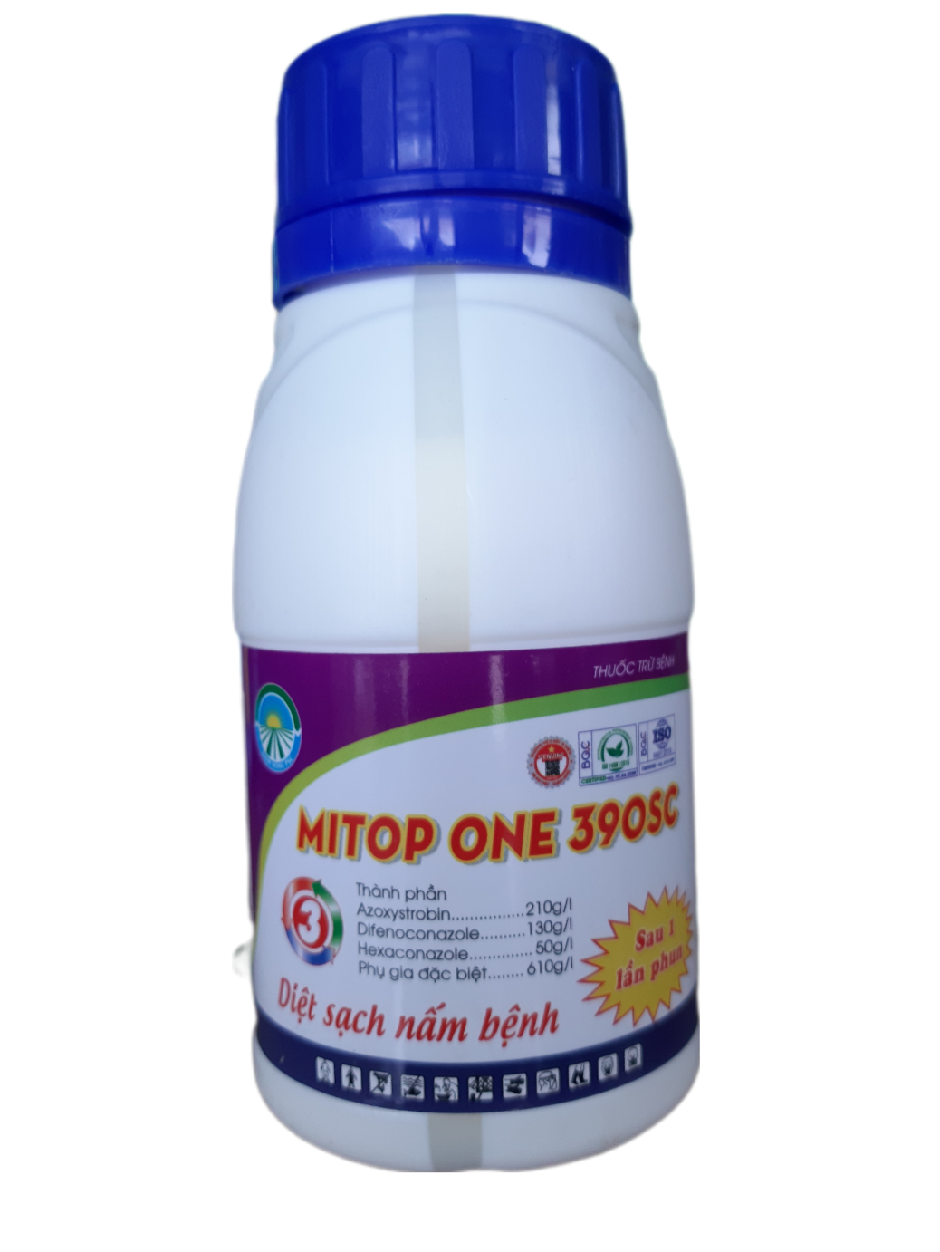 Mitop giá rẻ Tháng 11,2023|BigGo Việt Nam