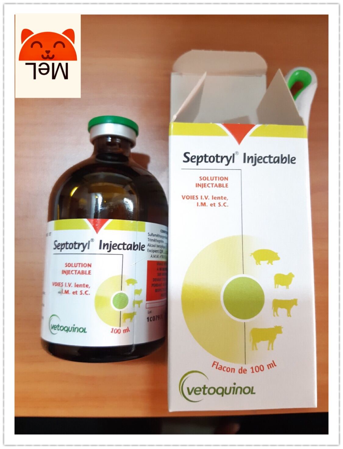 Septotryl ịnectable 100ml-Chuyên t.rị nhiễm trùng đường hô hấp, máu cho ...