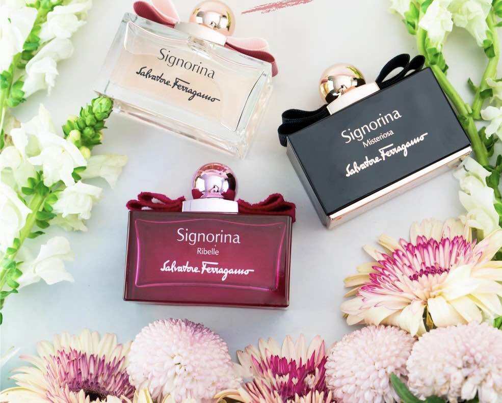 Signorina giá rẻ Tháng 4,2024|BigGo Việt Nam