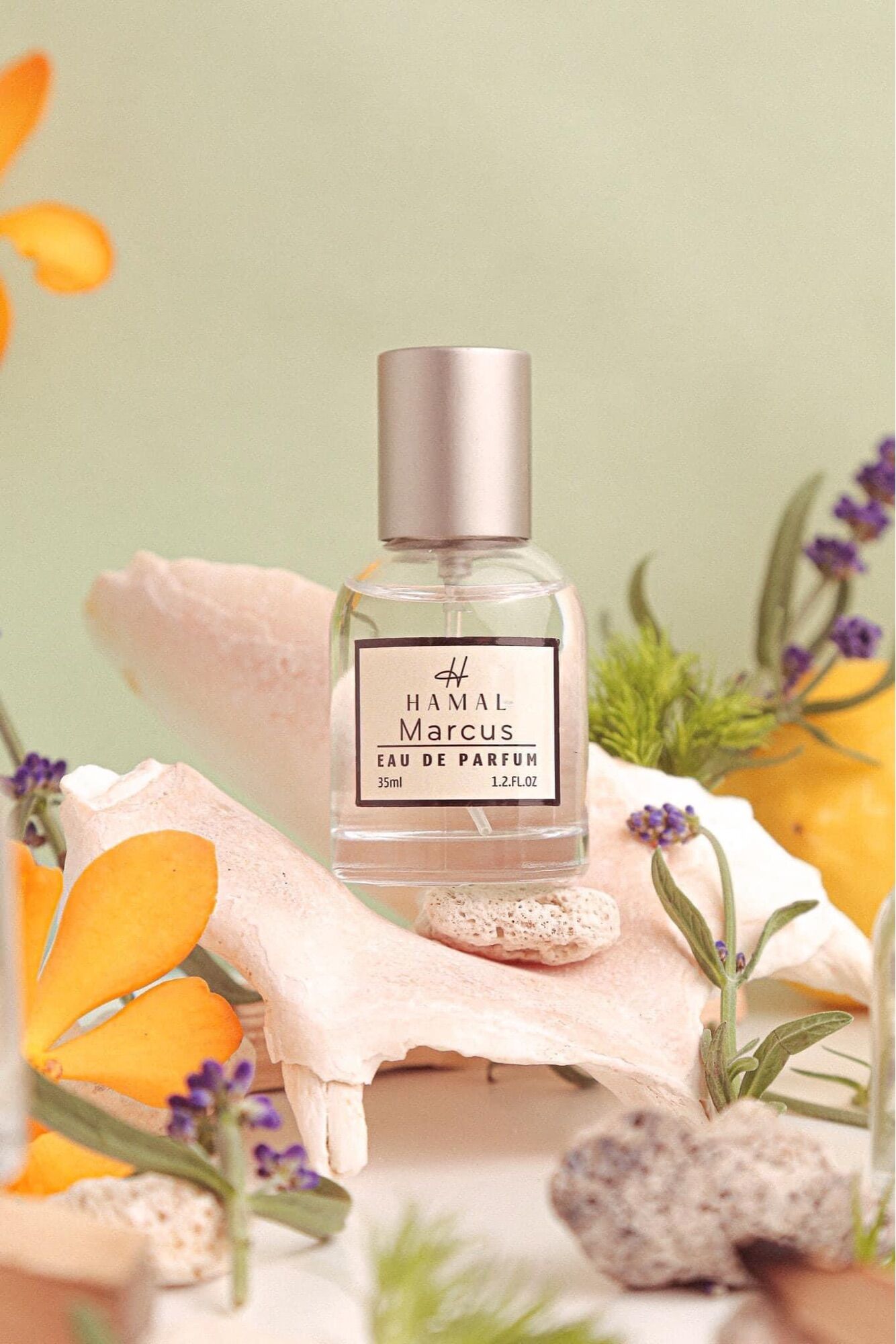 Hamal giá rẻ Tháng 6,2023|BigGo Việt Nam