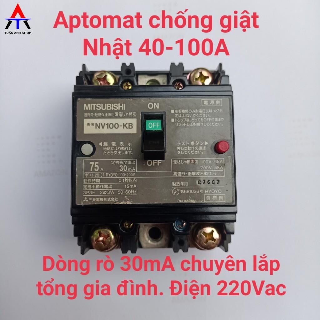 Aptomat Chống Giật 100a giá rẻ Tháng 8,2023|BigGo Việt Nam