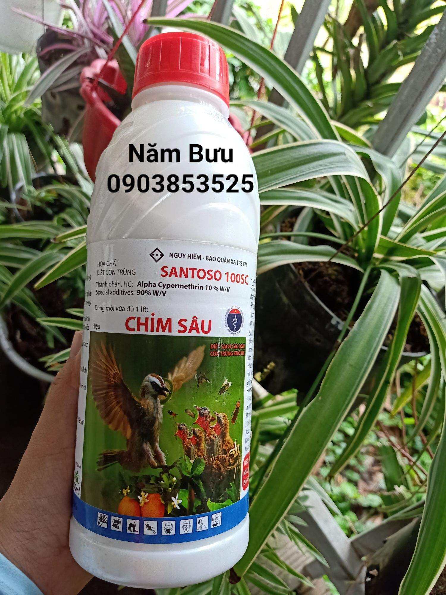 Santoso 100SC - Chim sâu- chai 1Lit (Alfa cypermethrin 100g/l) Trừ bọ ...